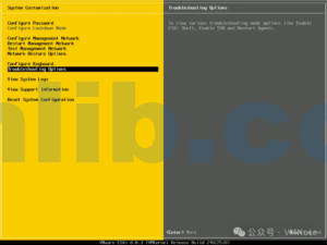 如何访问VMware ESXi的本地命令行(Shell) - VM技术库