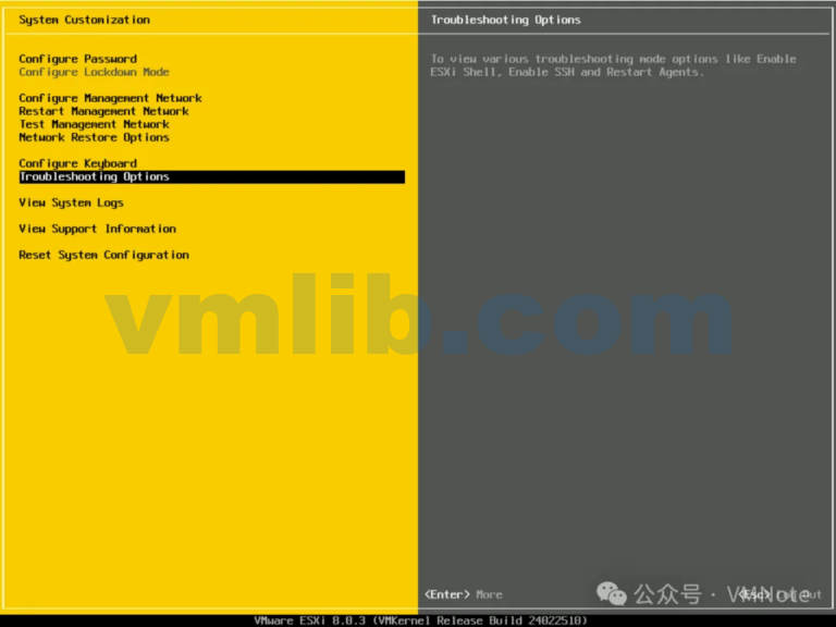 如何访问VMware ESXi的本地命令行(Shell) - VM技术库