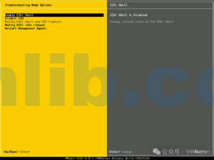 如何访问VMware ESXi的本地命令行(Shell) - VM技术库