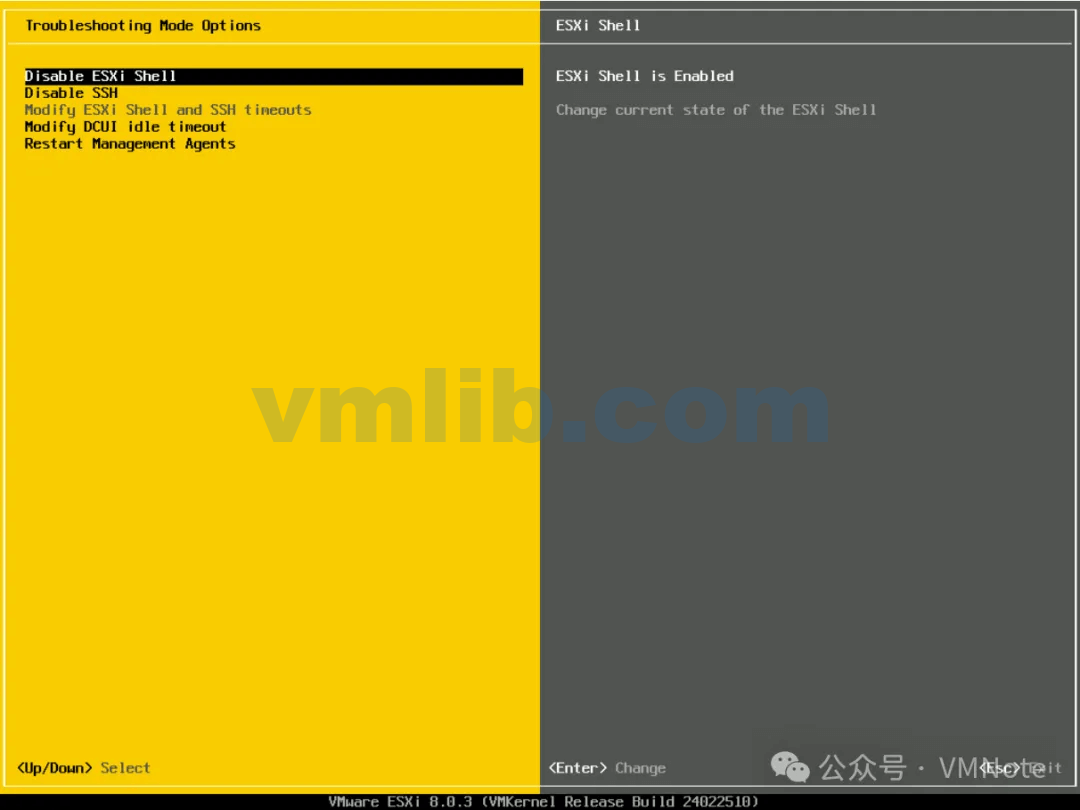 如何访问VMware ESXi的本地命令行(Shell) - VM技术库